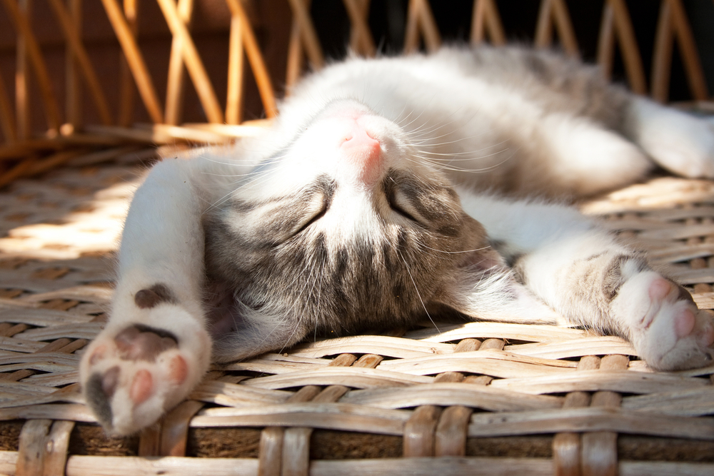 8 Tips to Help You Live in the Now – ActiveBeat – Your Daily Dose of ...