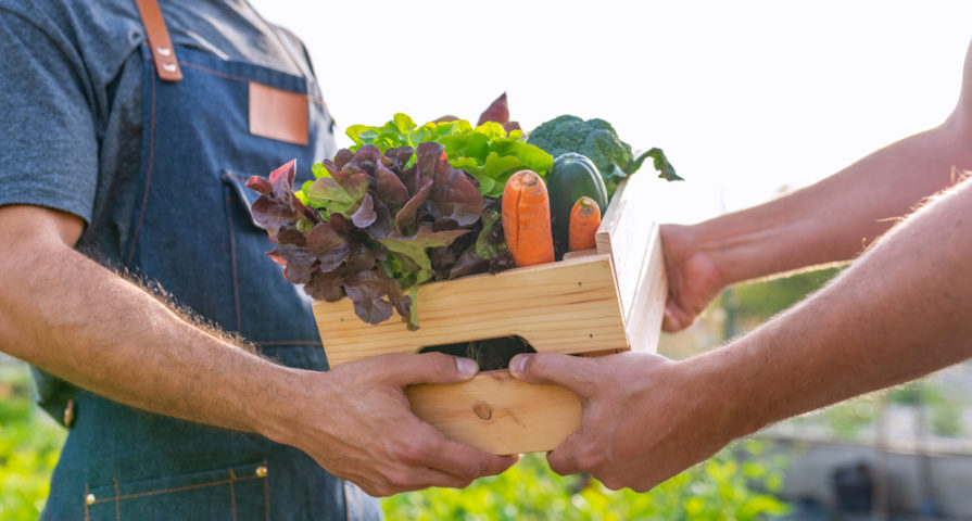 Healthy Reasons to Support Your Local Farmers' Market - ActiveBeat