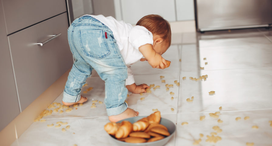 Dropped Food and the 5-Second Rule - ActiveBeat