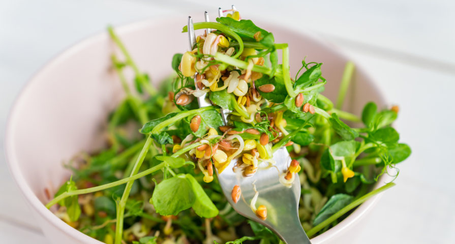 Best Vegetables for Building Muscle - ActiveBeat
