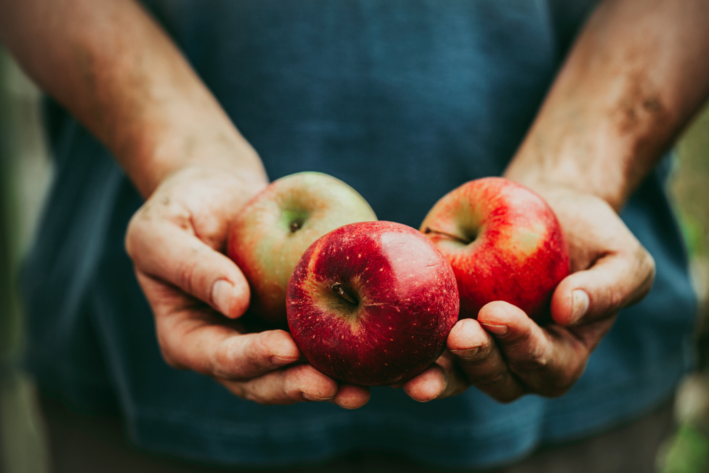 Interesting and Healthy Ways to Use Apples – ActiveBeat – Your Daily ...