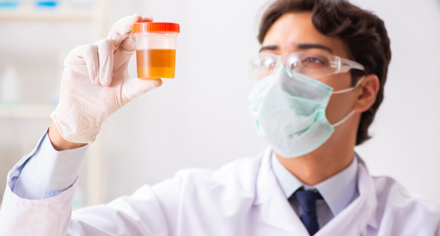 Hématurie : Causes de la présence de sang dans les urines - ActiveBeat